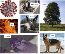 Definition of Life – Astrobiology