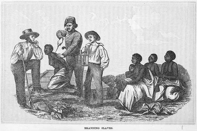 The Rise of Slavery – The Caribbean Since Columbus