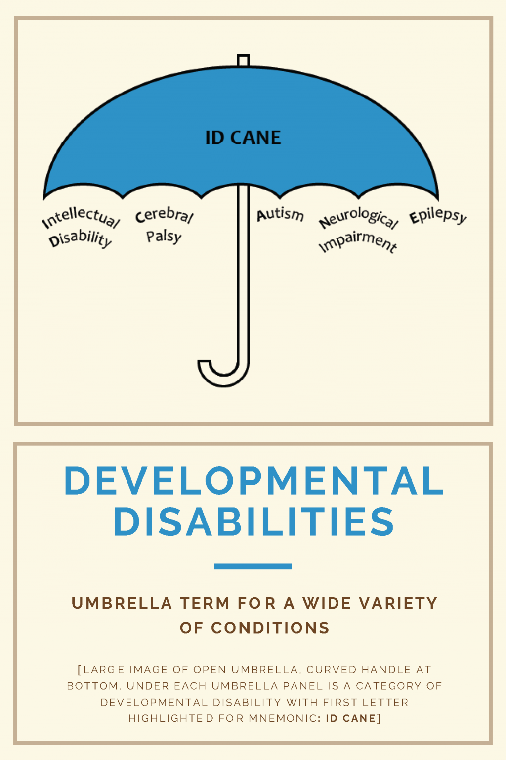 Developmental Disabilities – Achieving Comprehensive Education for Understanding Intellectual ...