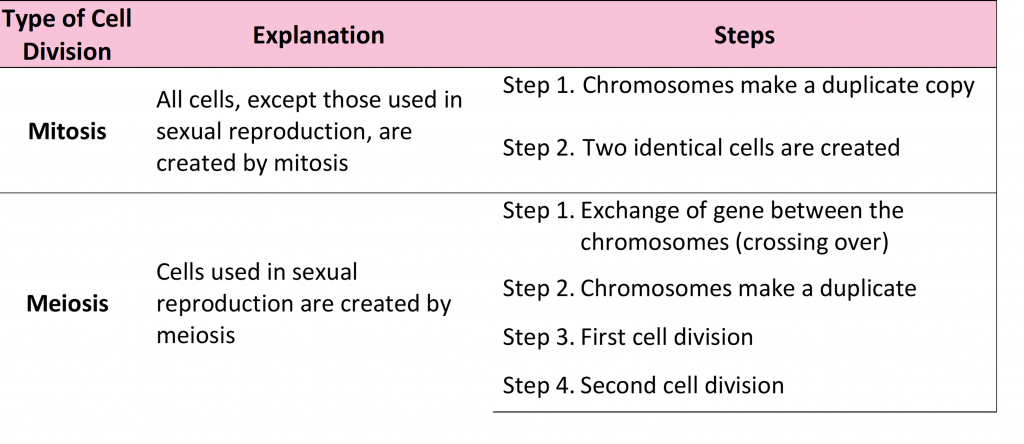Conception and Heredity – Infant and Child Development: From Conception ...