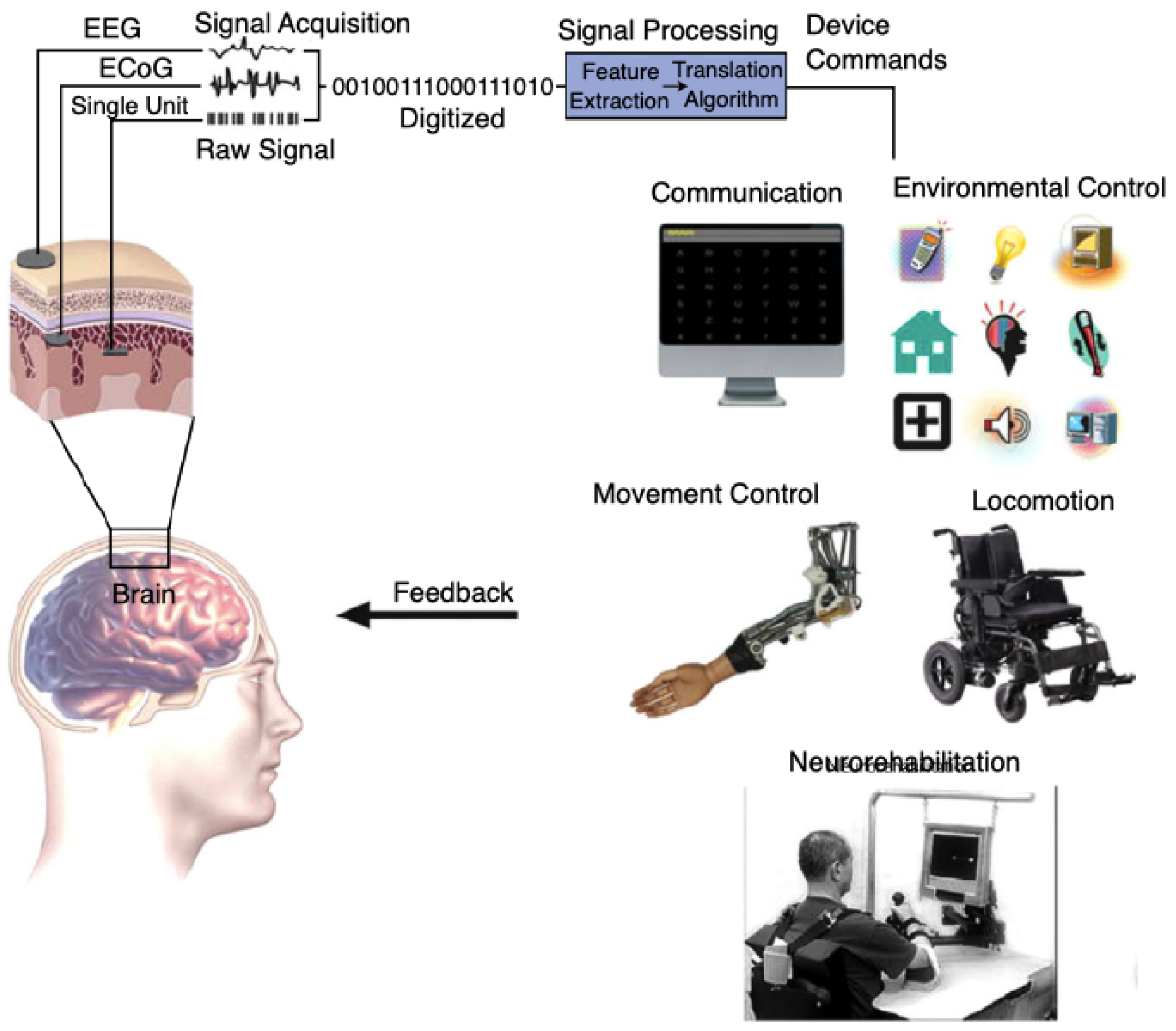 1.4: Payoffs of Biological Psychology – Brain and Behavior
