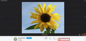 Finding Images on Flickr – Finding and Using Openly Licensed Images: A ...