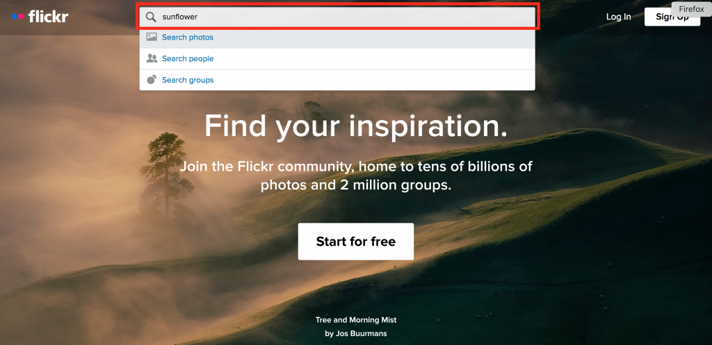 Finding Images on Flickr – Finding and Using Openly Licensed Images: A ...