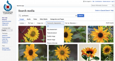 Finding Images on Wikimedia Commons – Finding and Using Openly Licensed ...